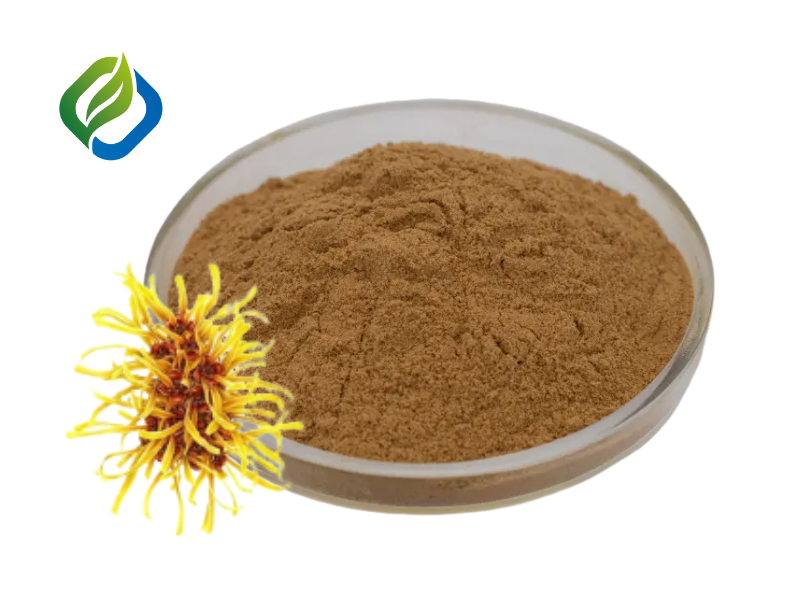 China Witch Hazel Extract Manufacture and Factory | Focusfreda
